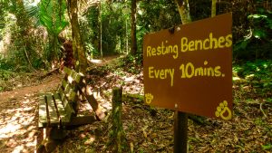 Cockscomb Basin Wildlife Sanctuary and Jaguar Reserve