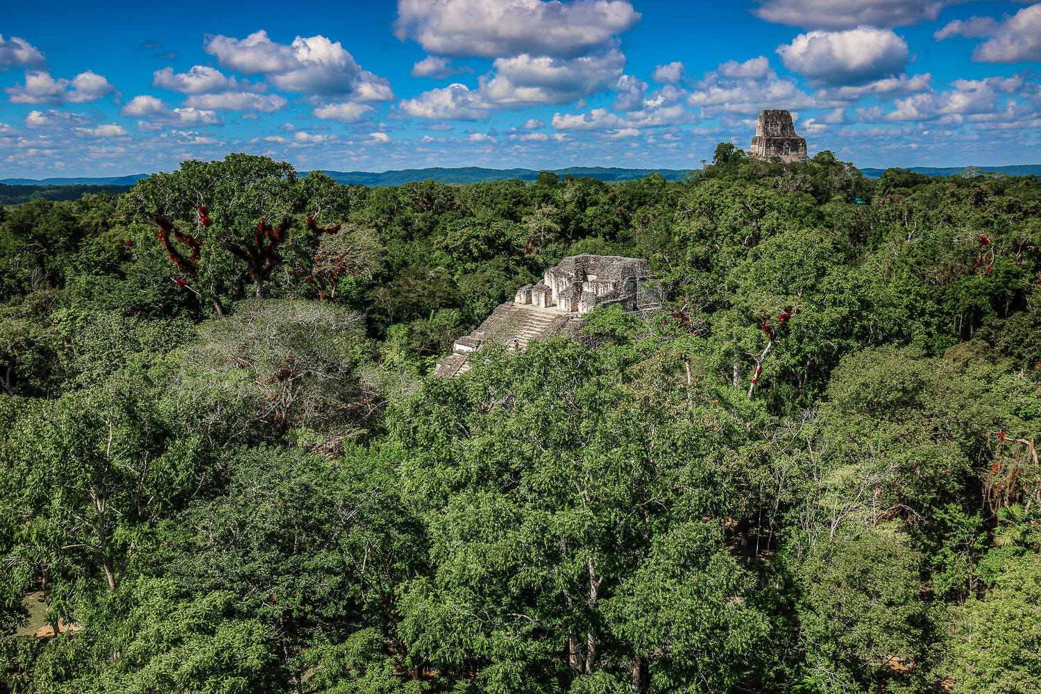 How to Visit Tikal - The Ancient Maya Ruins